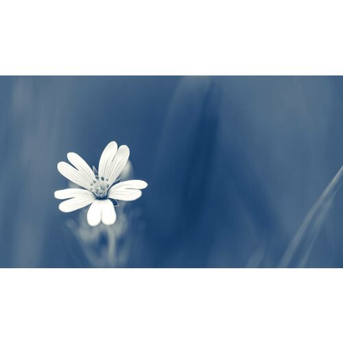 Картина на холсте 60x110 LinxOne "Природа весна цветок" интерьерная для дома / на стену / на кухню / с подрамником