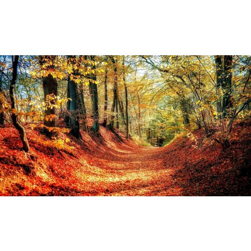 Картина на холсте 60x110 LinxOne "Пейзаж лес картины осени" интерьерная для дома / на стену / на кухню / с подрамником