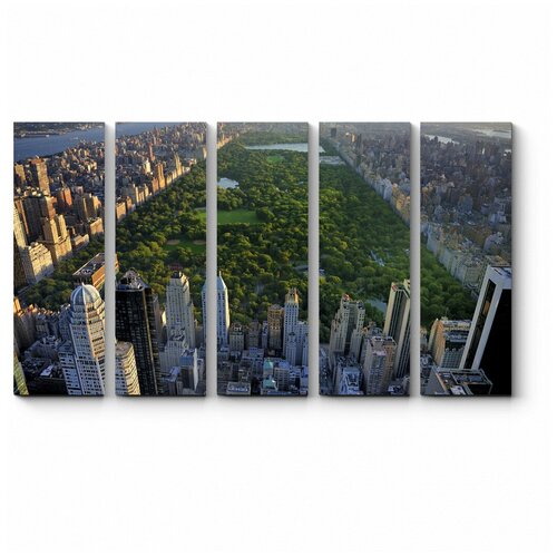 Модульная картина Центральный парк с высоты птичьего полета 110x66