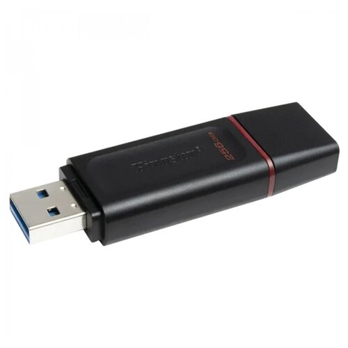 Флеш-диск USB 256Gb Kingston DataTraveler Exodia, USB3.2, черный (DTX/256GB)