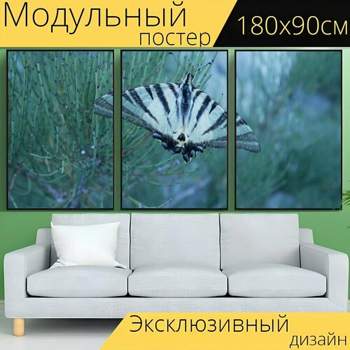 Модульный постер "Бабочка, хорватия, насекомое" 180 x 90 см. для интерьера