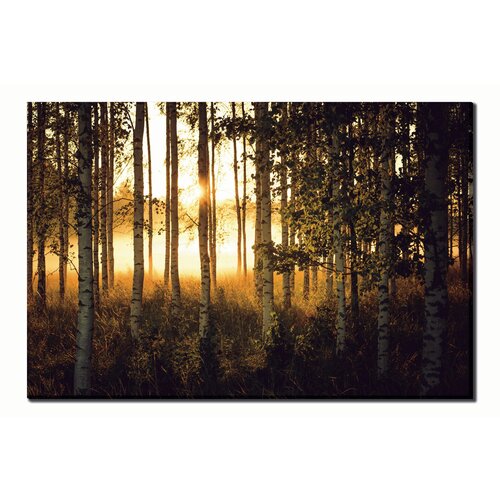 Картина для интерьера на холсте фото "Березы на закате" лес 26х40, холст натянут на подрамник