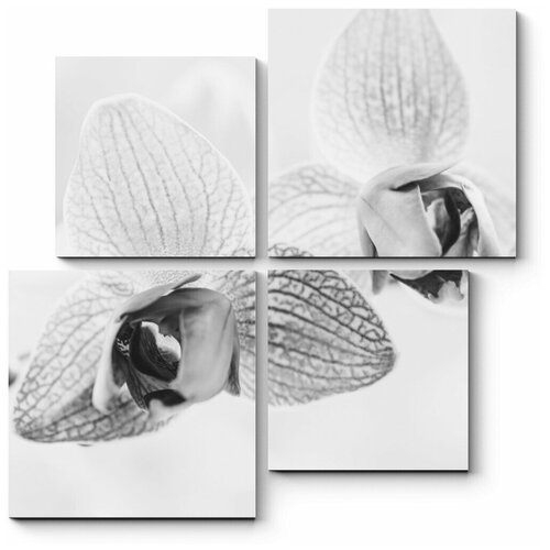 Модульная картина Черно-белые орхидеи 130x130