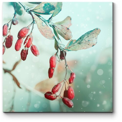 Модульная картина Красные ягоды, припорошенные снежком 60x60