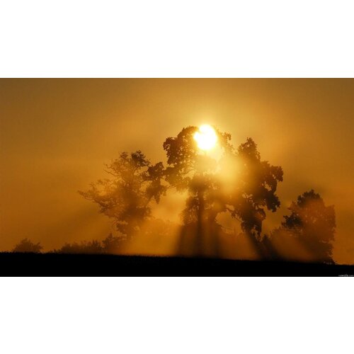 Картина на холсте 60x110 LinxOne "Туман дерево красота закат" интерьерная для дома / на стену / на кухню / с подрамником