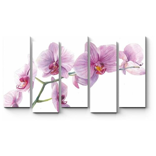 Модульная картина Ветка чудесной орхидеи 110x64