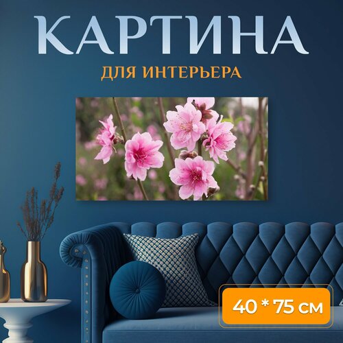 Картина на холсте "Персик, персиковый цветок, цветок" на подрамнике 75х40 см. для интерьера