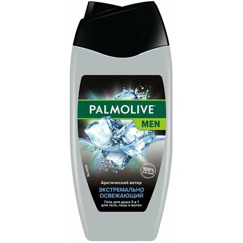Гель для душа Palmolive Men Арктический ветер 3 в 1 для тела лица и волос 250мл х 2шт