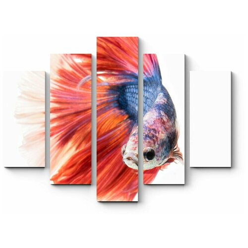 Модульная картина Красно-синяя рыбка 115x92
