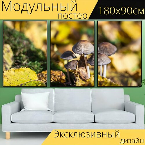 Модульный постер "Грибы, лесная земля, маленькие грибы" 180 x 90 см. для интерьера