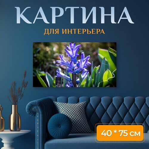 Картина на холсте "Гиацинт, синий, сад" на подрамнике 75х40 см. для интерьера