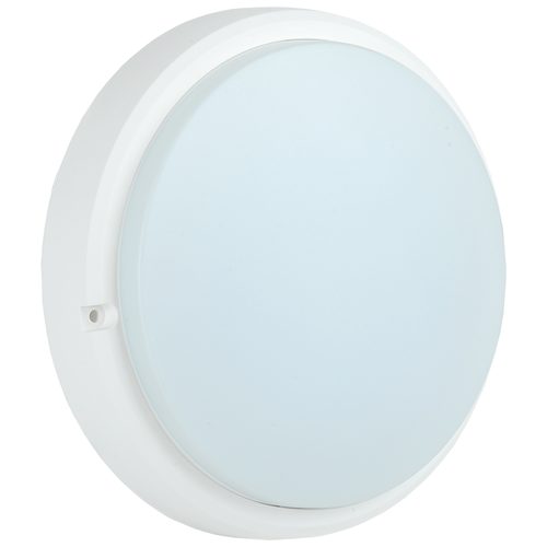 Настенно-потолочный светильник IEK ДПО 4005 (8Вт 6500K), 8 Вт, кол-во ламп: 1 шт., 6500 К, цвет арматуры: белый, цвет плафона: белый