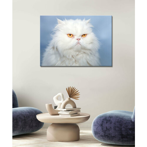 Картина - кошка, персидская кошка, домашняя кошка, ласковая кошка, кот (291) 20х30