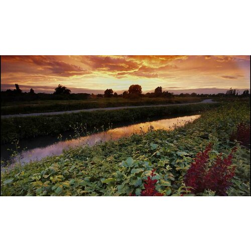 Картина на холсте 60x110 Альянс Лес "Рассвет на реке" на подрамнике / интерьер/ декор