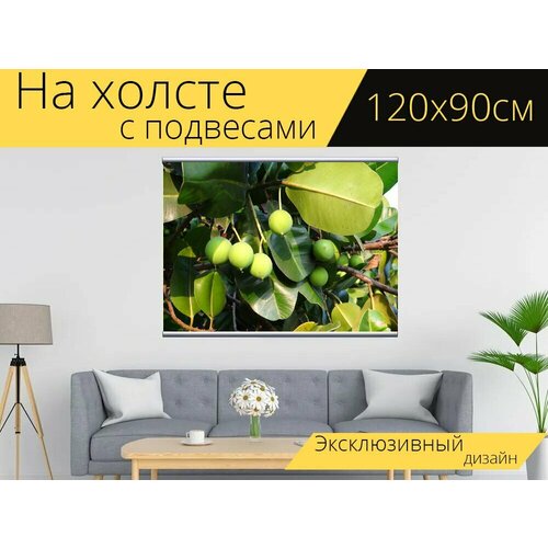 Картина на холсте "Лист красоты, александрийский лавр, фрукты" с подвесами 120х90 см. для интерьера