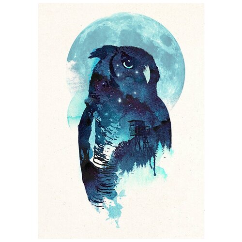 Интерьерный постер на стену картина для интерьера в подарок плакат "Midnight Owl" размера 60х90 см 600*900 мм репродукция без рамы в тубусе