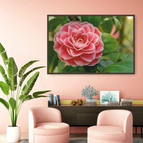 Постер для интерьера Цветок Розовой Камелии 90х60 см в тубусе ПолиЦентр