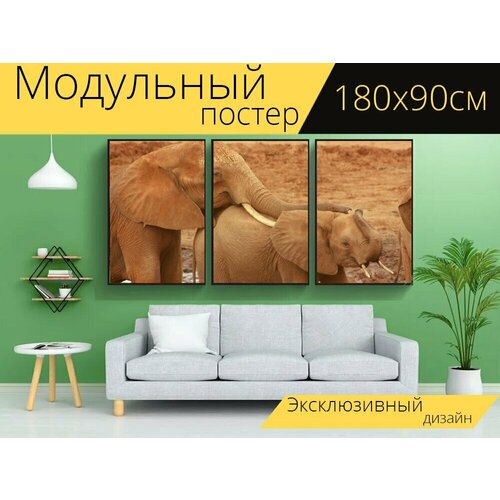 Модульный постер "Слон, детка, животное" 180 x 90 см. для интерьера