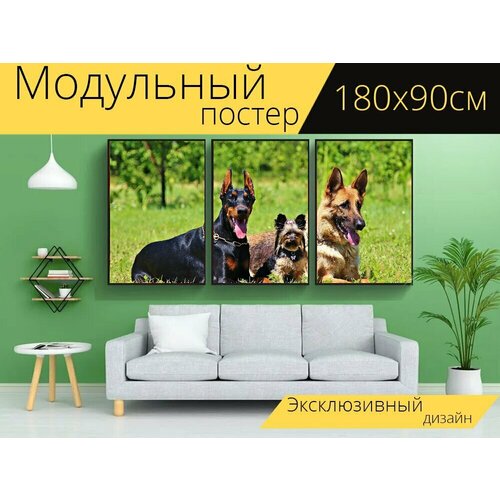 Модульный постер "Немецкая овчарка, трава, собак" 180 x 90 см. для интерьера