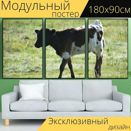 Модульный постер "Телец, пятнистая корова, говядина" 180 x 90 см. для интерьера
