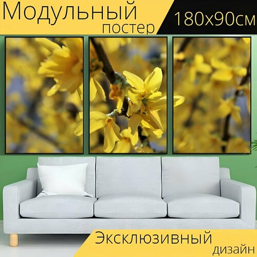 Модульный постер "Желтый, форзиция, весна" 180 x 90 см. для интерьера