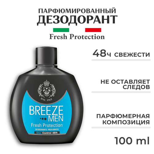 Breeze Мужской парфюмированный Дезодорант-спрей Fresh Protection 100 мл