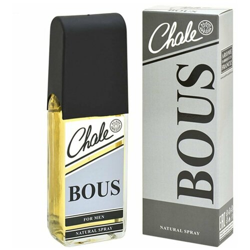 Positive Parfum men (alain Aregon) Chale - Bous Туалетная вода 100 мл.