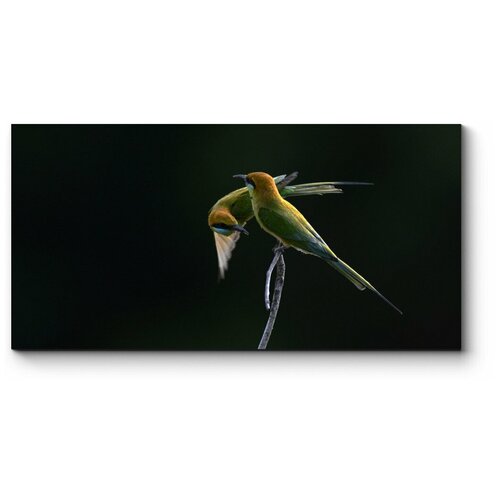 Модульная картина Потрясающие птицы 60x30