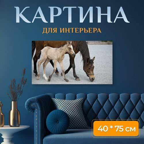 Картина на холсте "Жеребенок, лошадь, животные" на подрамнике 75х40 см. для интерьера