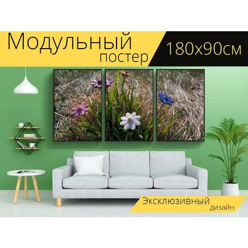 Модульный постер "Украшение сада, цветок, украшение" 180 x 90 см. для интерьера