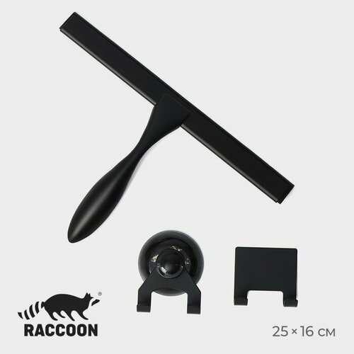 Водосгон из нержавеющей стали с комплектом держателей Raccoon, 25×16 см, цвет чёрный
