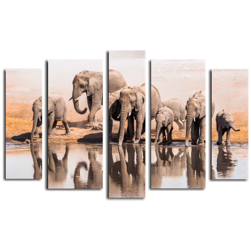 Модульная картина Африканские слоны 118х70 см