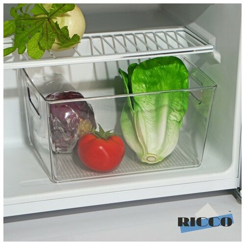 RICCO Контейнер для холодильника RICCO, 29×20,5×15,5 см