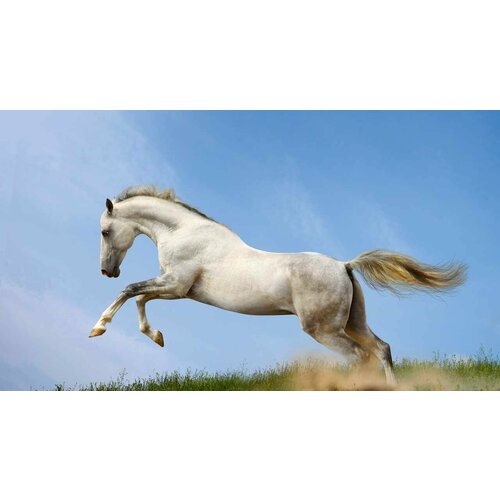 Картина на холсте 60x110 LinxOne "Бежит пыль лошадь бег конь" интерьерная для дома / на стену / на кухню / с подрамником