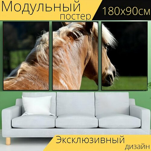 Модульный постер "Лошадь, грива, животное" 180 x 90 см. для интерьера