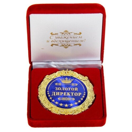 SUI Медаль в бархатной коробке «Золотой директор», d=7 см