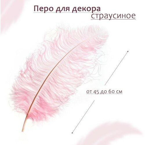 Перо для декора, длина: от 45 до 60 см, цвет розовый