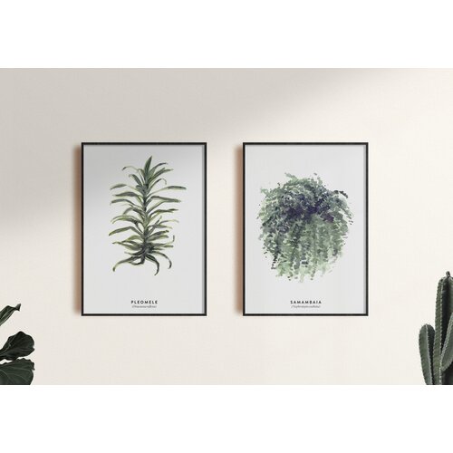 Набор плакатов "Ботаника" 2 шт. / Набор интерьерных постеров формата А2 (40х60 см) без рамы