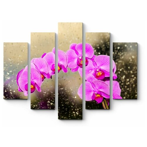 Модульная картина Роскошная орхидея 75x60