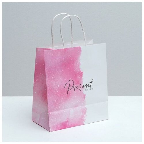 Пакет подарочный крафтовый «Present for you», 22 × 25 × 12 см