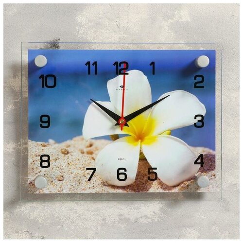 Рубин Часы настенные, серия: Цветы, "Плюмерия на песке", 20х26 см, микс