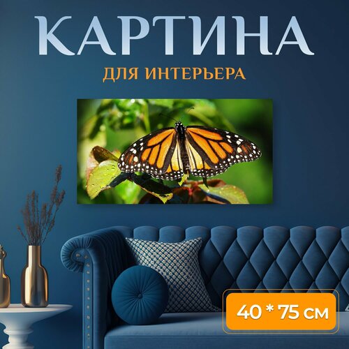 Картина на холсте "Бабочка, насекомое, природа" на подрамнике 75х40 см. для интерьера
