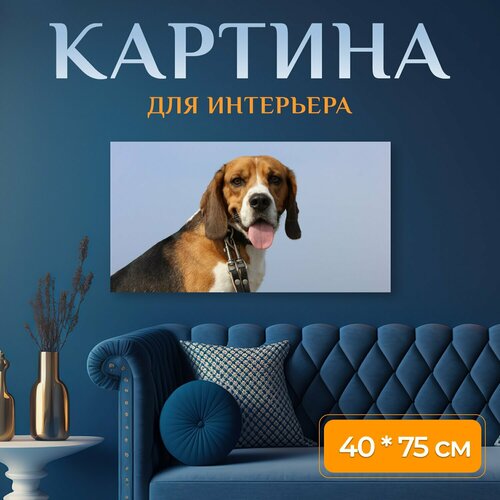 Картина на холсте "Собака, домашний питомец, щенок" на подрамнике 75х40 см. для интерьера
