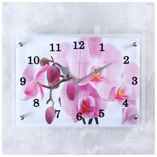 Часы настенные, серия: Цветы, "Орхидея", 25х35 см, микс