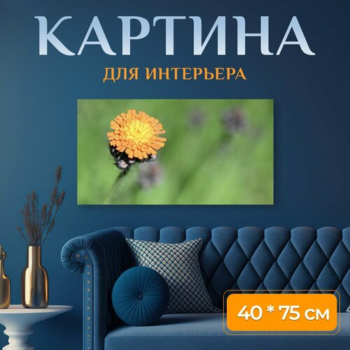 Картина на холсте "Ястреб, полевой цветок, апельсин" на подрамнике 75х40 см. для интерьера