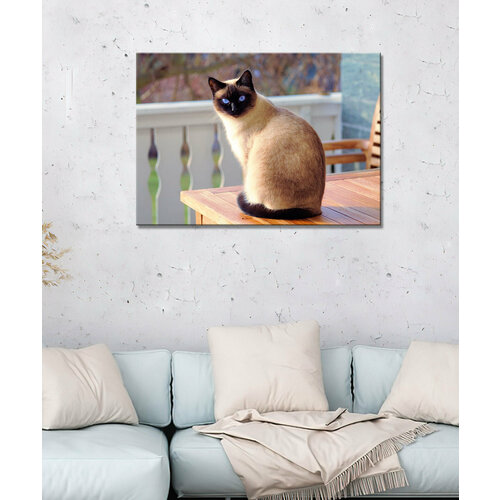 Картина - кошка, сиамская кошка, домашняя кошка, ласковая кошка, короткошерстная кошка, кот (98) 30х40