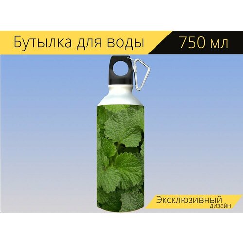 Бутылка фляга для воды "Фон, текстура, зелень" 750 мл. с карабином и принтом