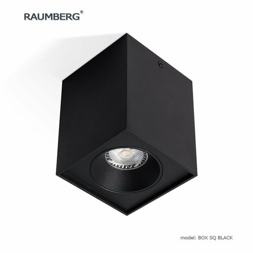 Накладной неповоротный потолочный светильник RAUMBERG BOX SQ bk
