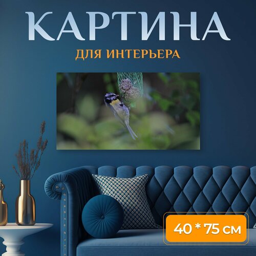Картина на холсте "Лазоревка, синица, певчая птица" на подрамнике 75х40 см. для интерьера