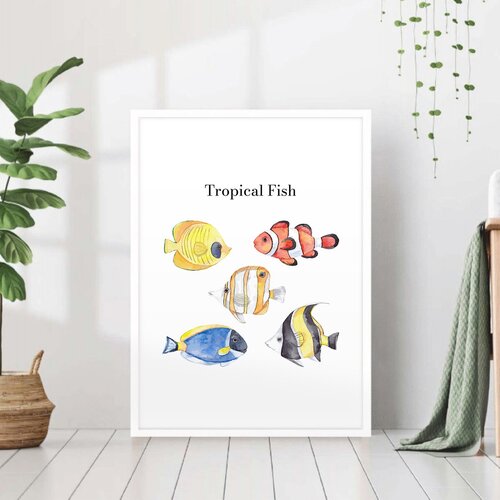 Постер "Тропические рыбки" 50 на 70 в белой рамке / Картина для интерьера / Плакат / Постер на стену / Интерьерные картины